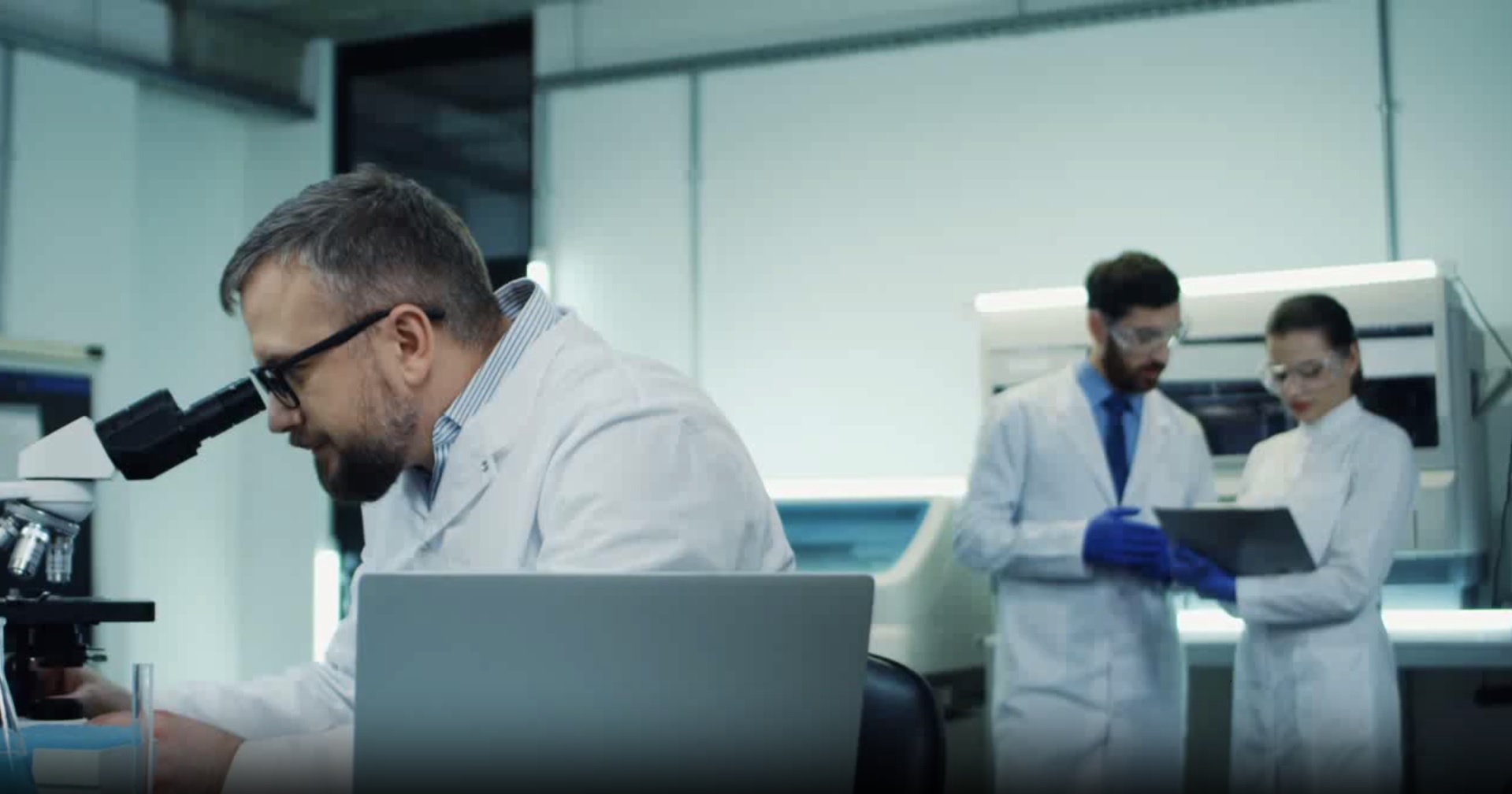 Amster Labs Limited – integrity, Solutions & Innovation.